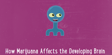 Marijuana - Project Here